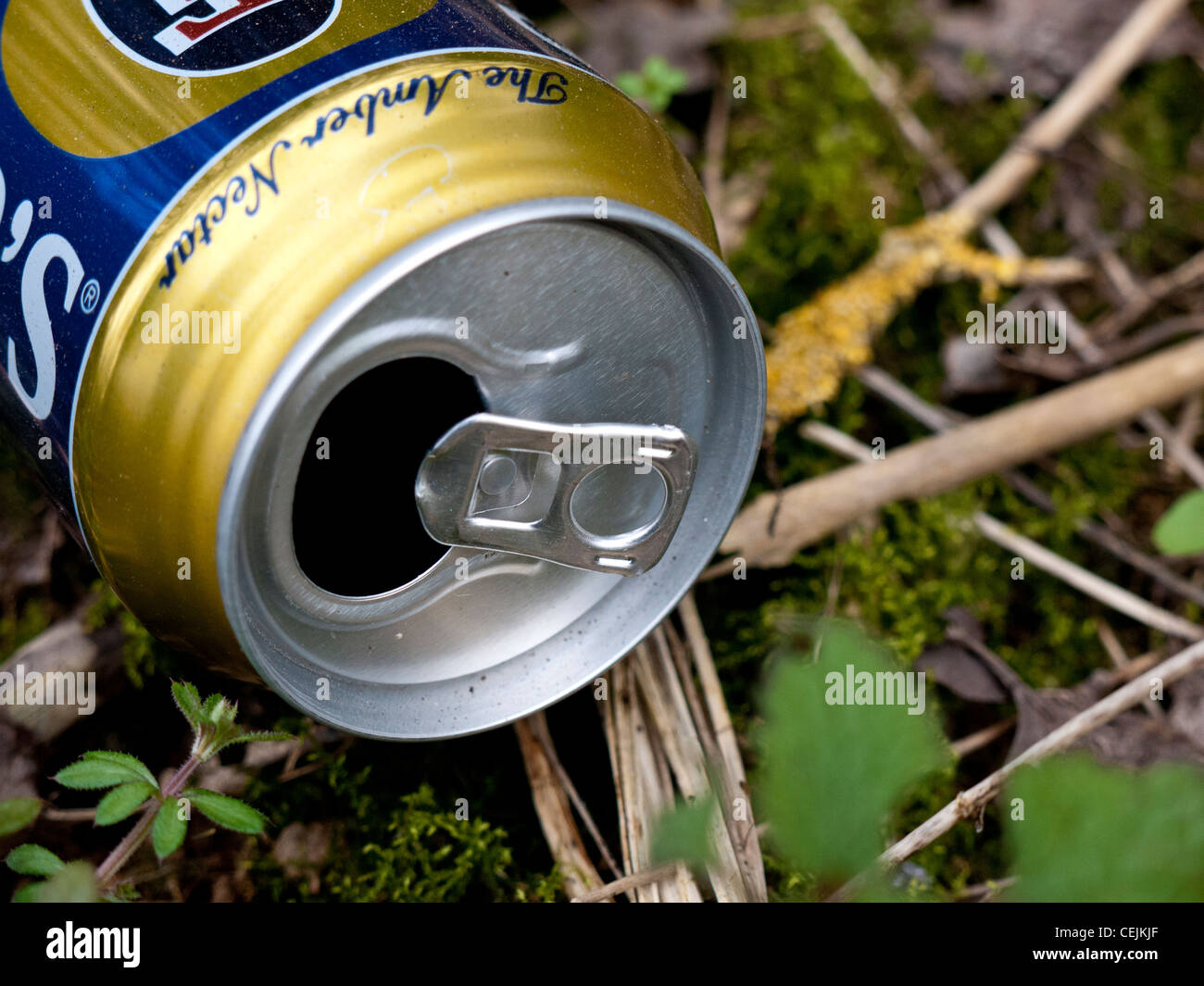 Discarded beer cans hi-res stock photography and images - Alamy