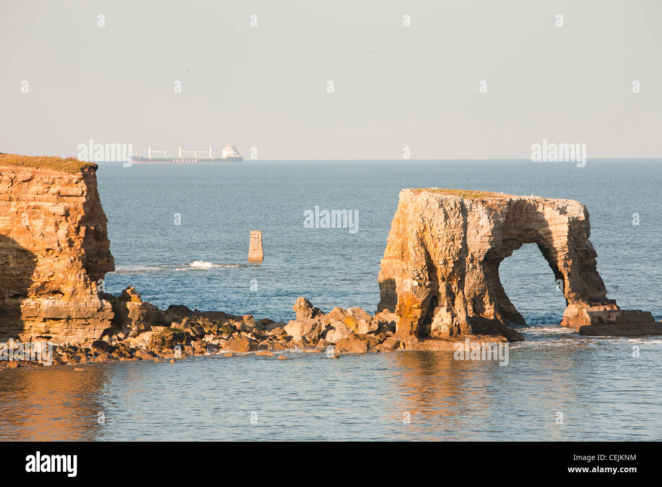 Sea stacks and sea arch on the North East coast at whitburn, between ...