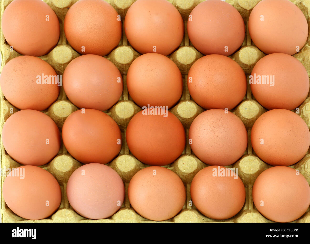 A tray of eggs on a cardboard tray Stock Photo - Alamy