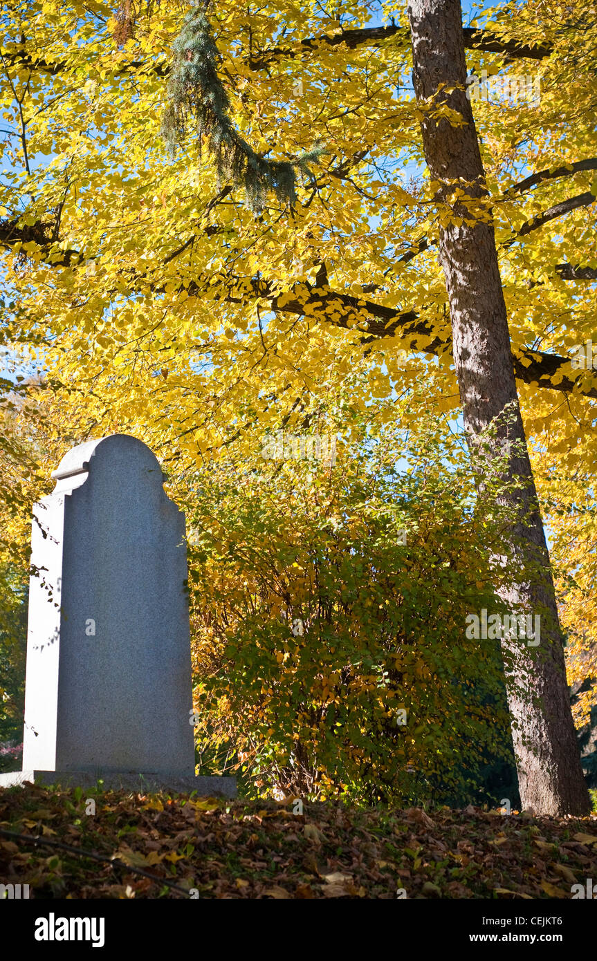 Fall foliage in cemetery Stock Photo - Alamy