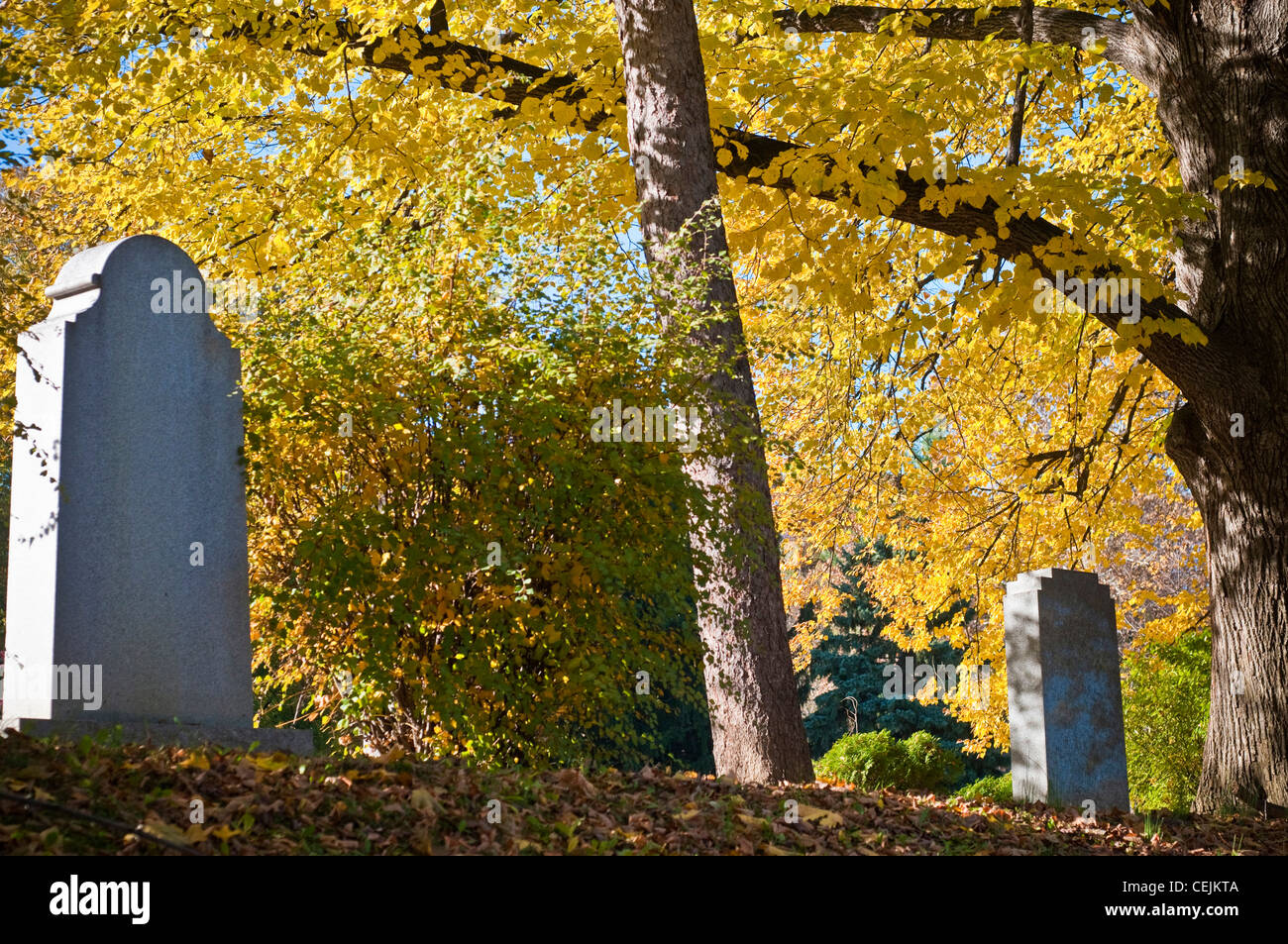 Fall foliage in cemetery Stock Photo - Alamy