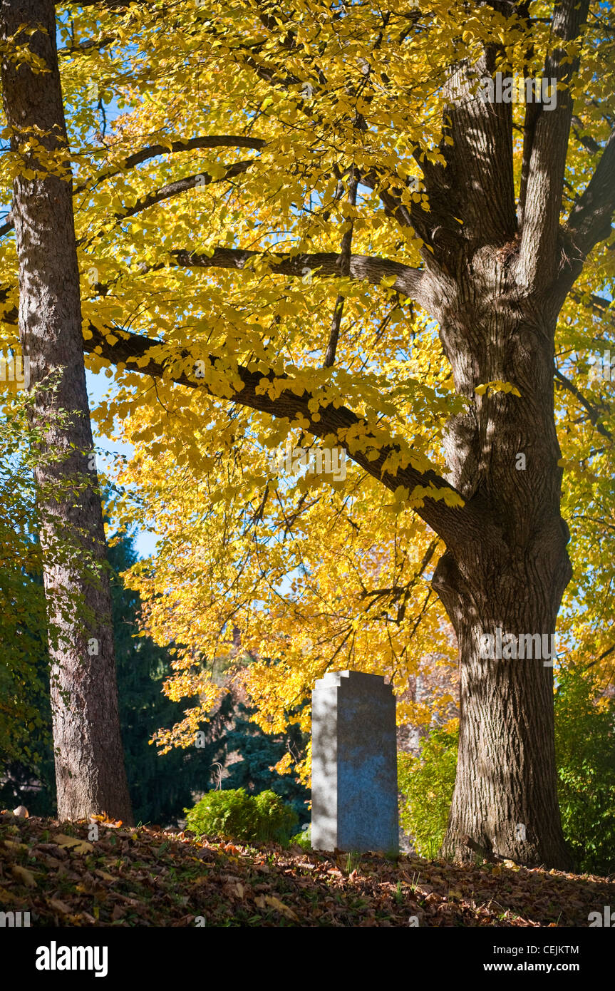 Fall foliage in cemetery Stock Photo - Alamy