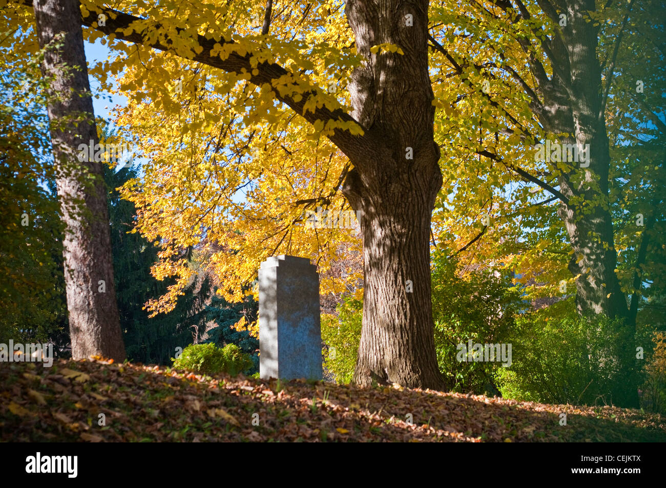 Fall foliage in cemetery Stock Photo - Alamy