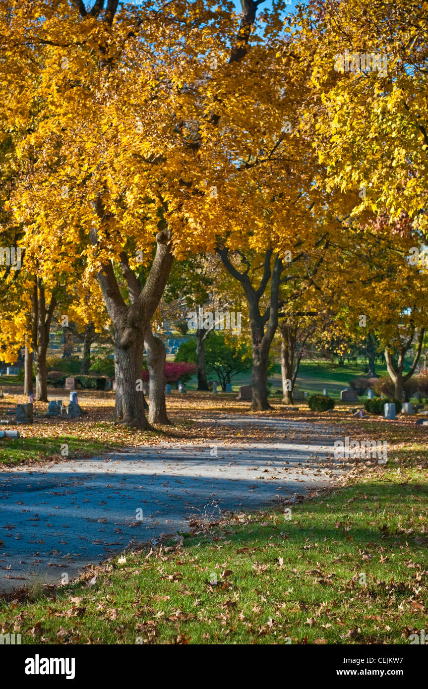 Fall foliage in cemetery Stock Photo - Alamy
