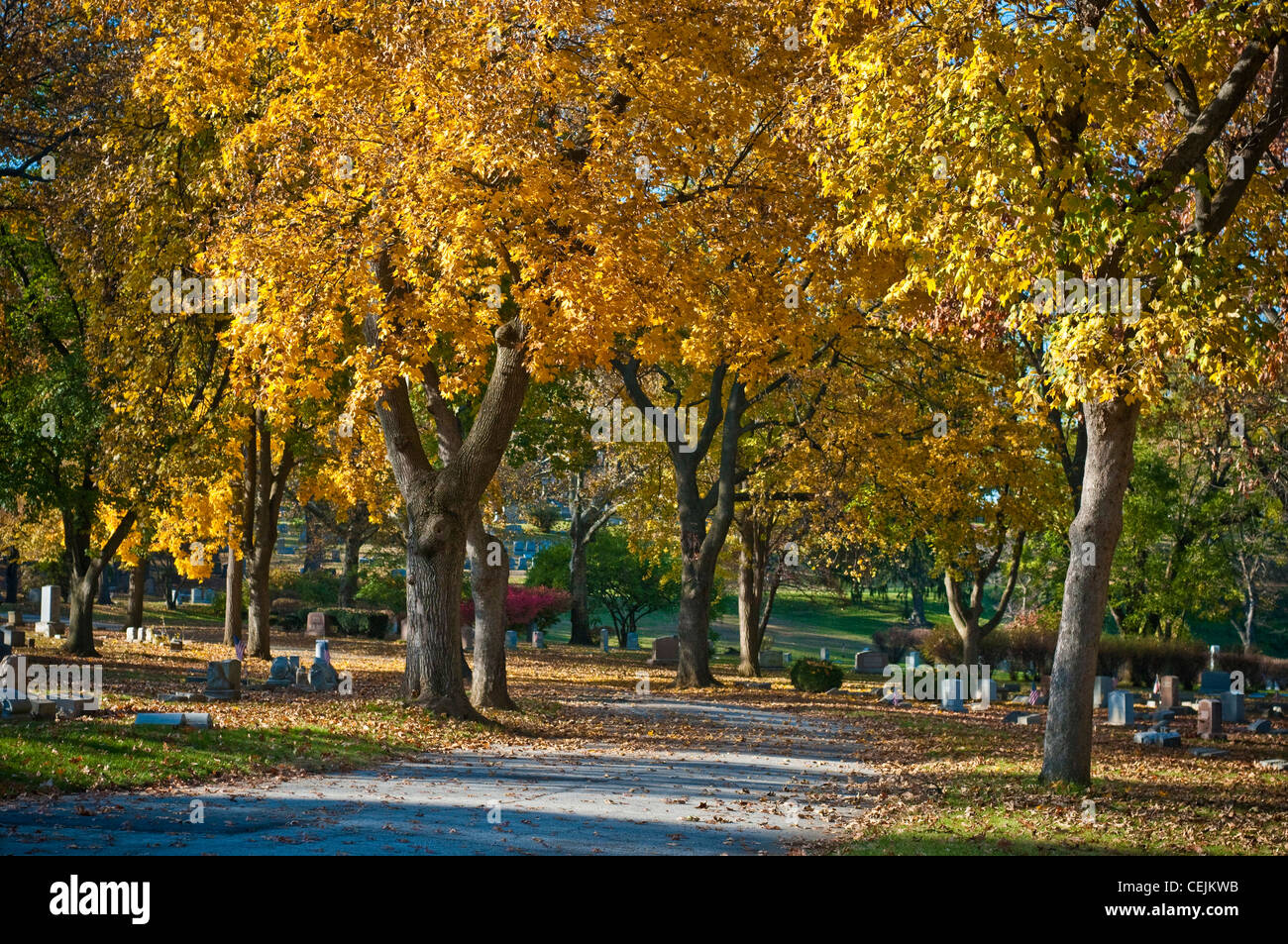 Fall foliage in cemetery Stock Photo - Alamy