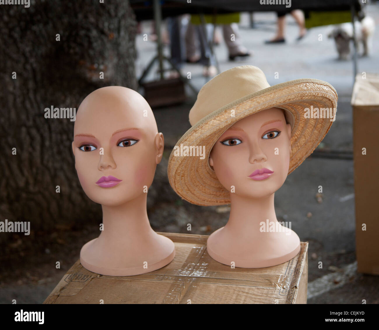 mannequin, dummy, hats, models Stock Photo - Alamy