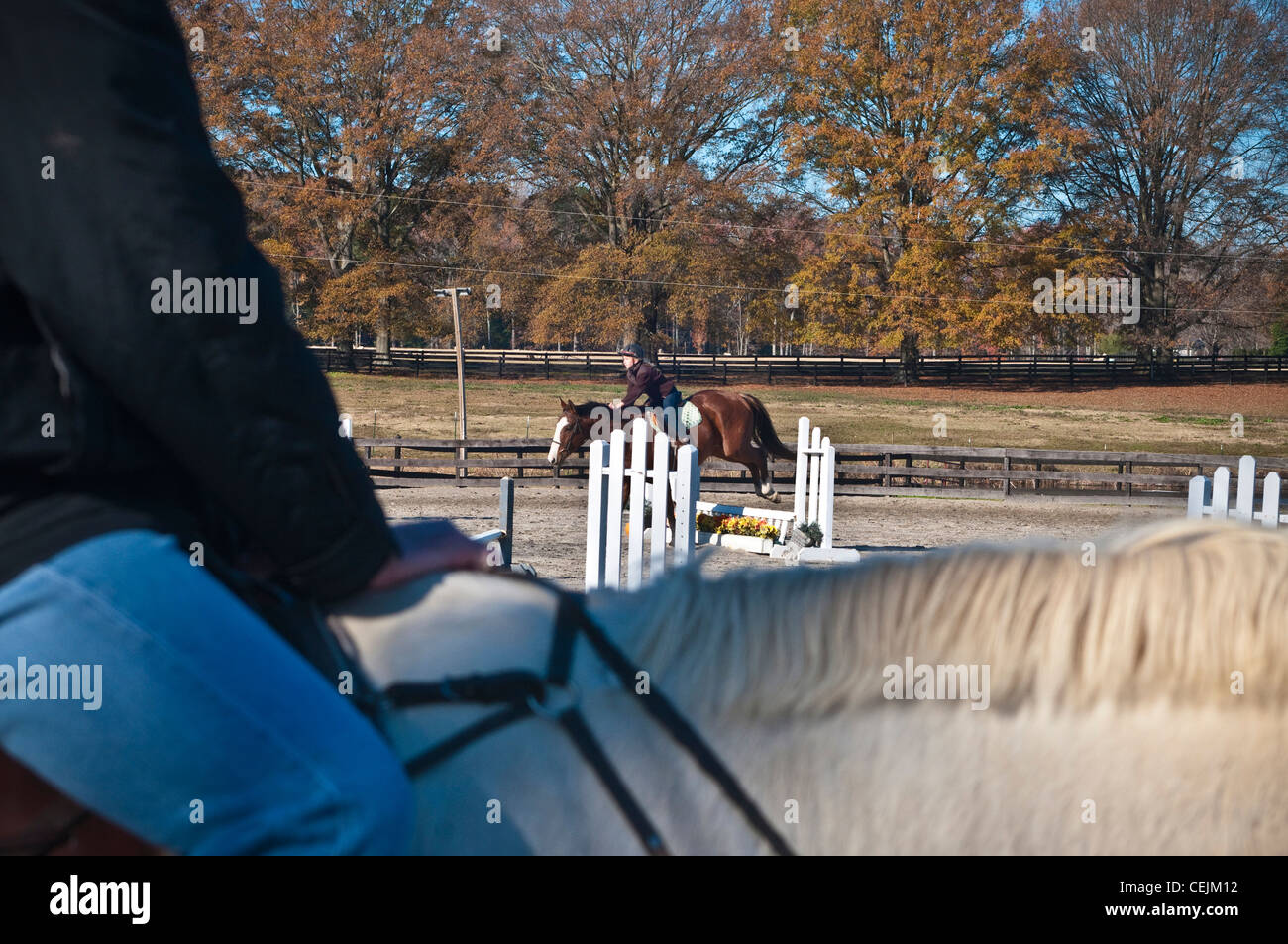 Young girls take horseback riding lessons Stock Photo - Alamy