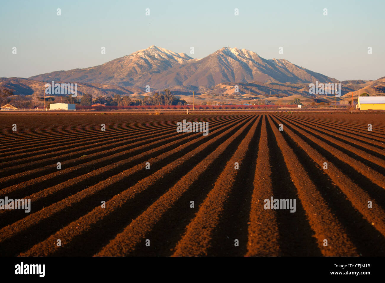 Fallow field planting hi-res stock photography and images - Alamy