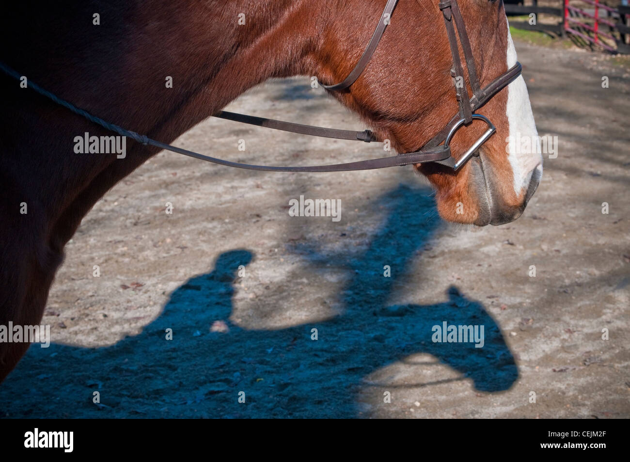 Young girls take horseback riding lessons Stock Photo - Alamy