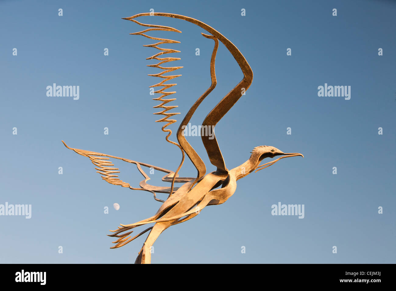 A Cormorant sculpture at Sunderland Marina, North East, UK Stock Photo ...