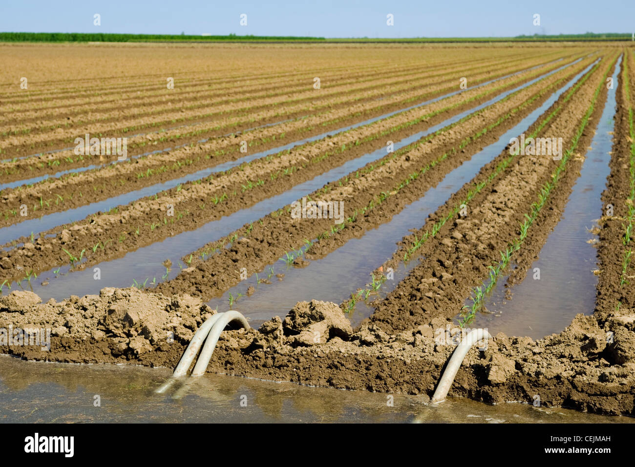Irrigated ditch High Resolution Stock Photography and Images - Alamy