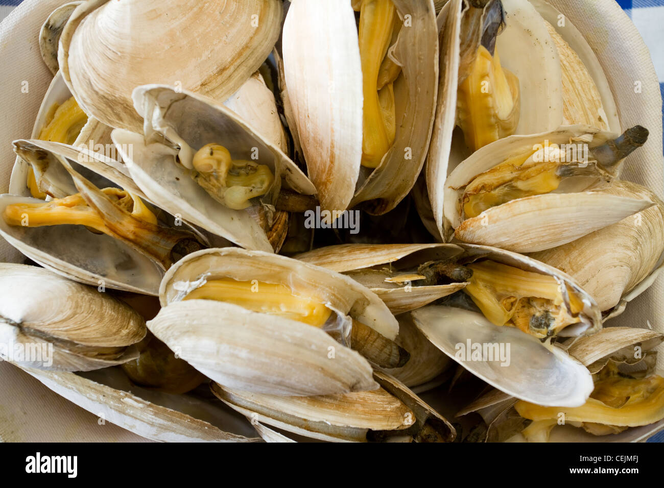 Woodman's clams hi-res stock photography and images - Alamy