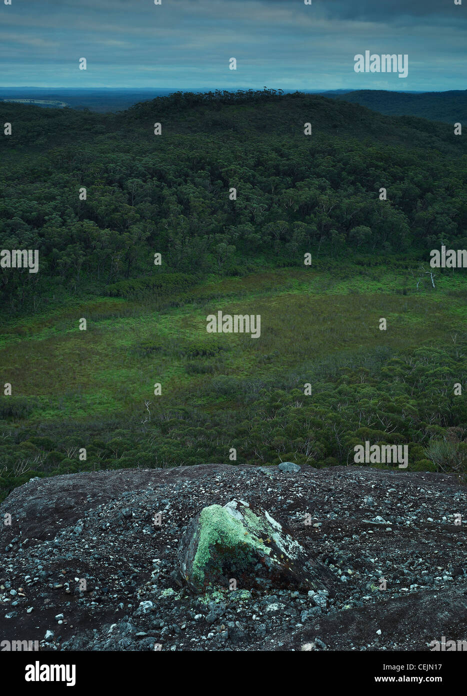 Embedded rock in conglomerate sandstone, Morton National Park, NSW ...