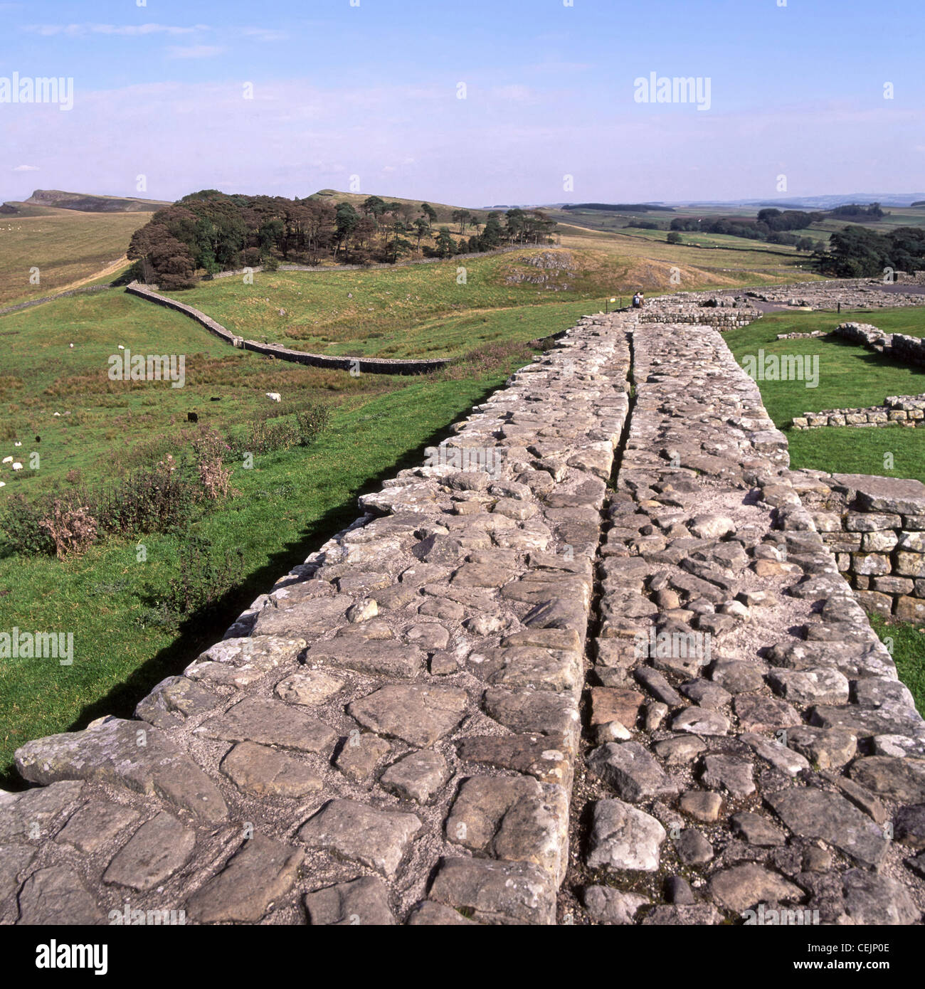 Hadrians Wall built in Roman Britain seen here extending distant at ...