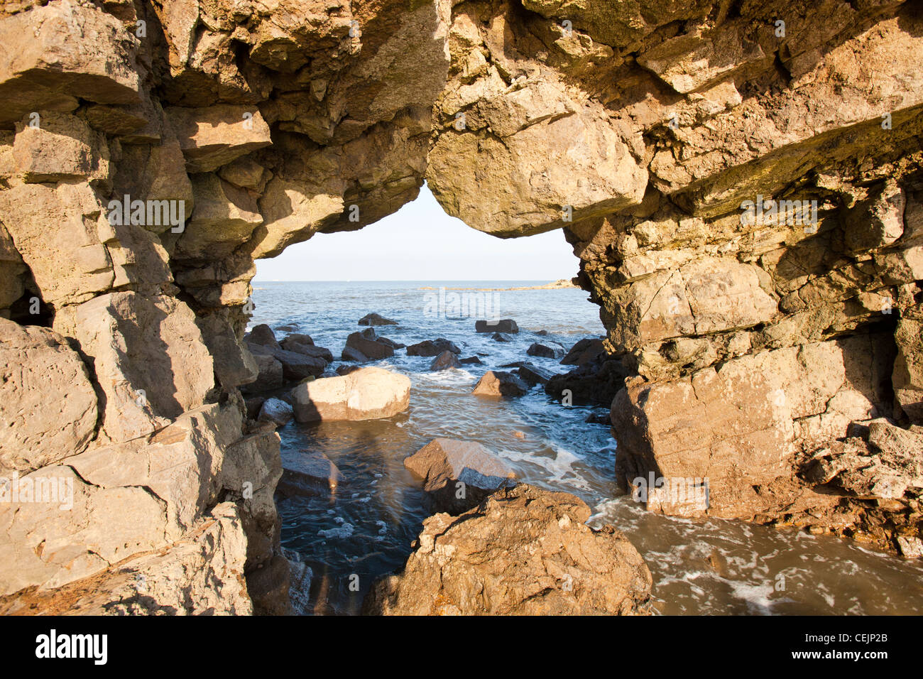 Sea stacks and sea arch on the North East coast at Whitburn between ...