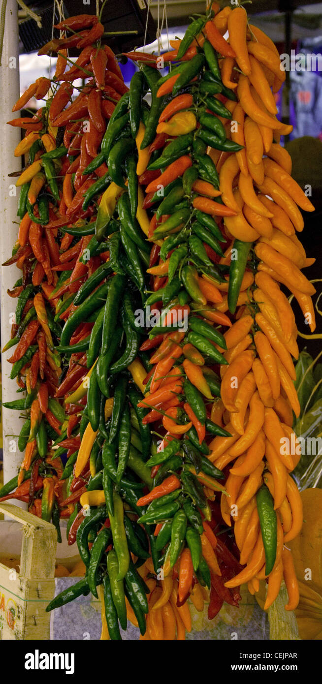 Hanging Peppers 1 Stock Photo - Alamy