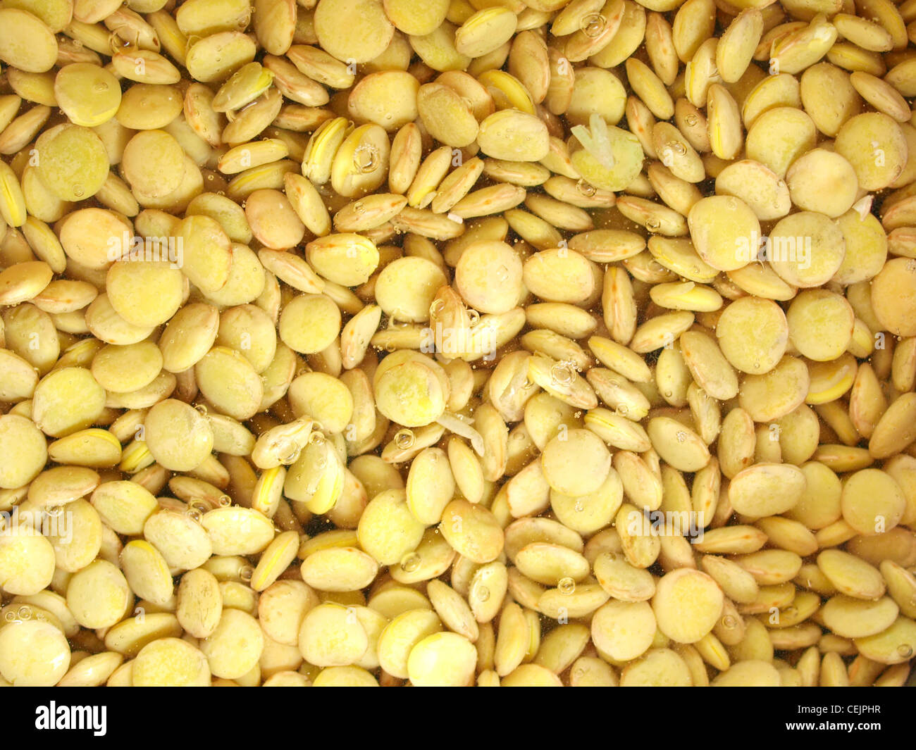 Lentils soup salad food background Stock Photo - Alamy