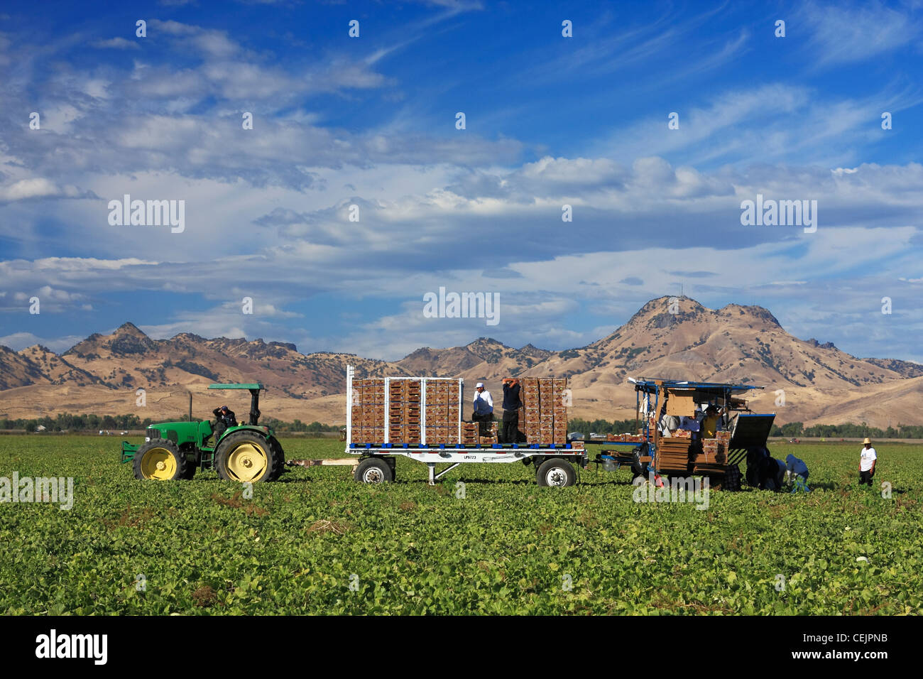 Sutter buttes hi-res stock photography and images - Alamy