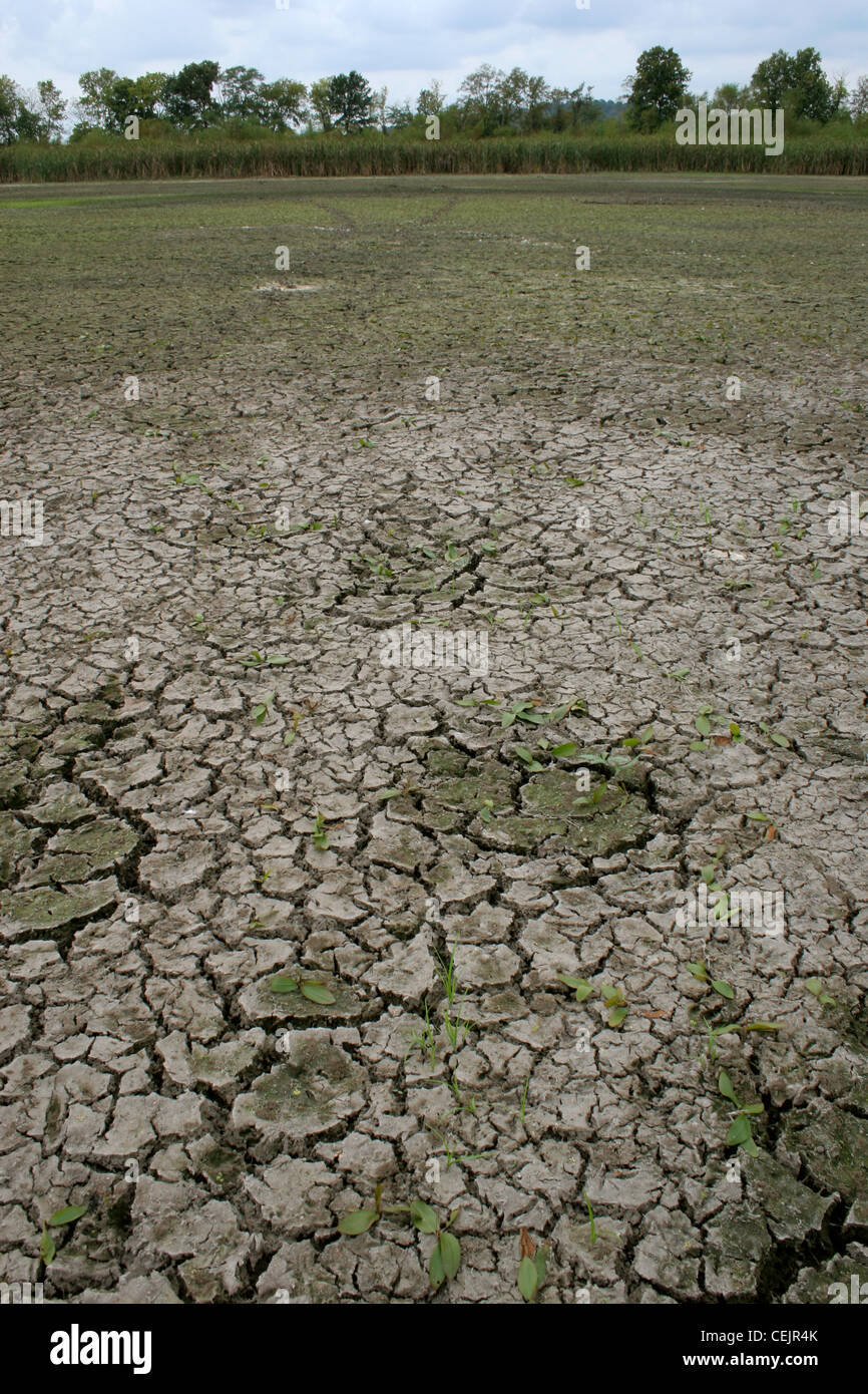 Drying up river hi-res stock photography and images - Alamy