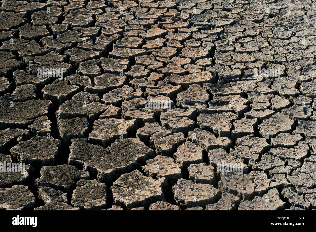 drying marsh ohio Stock Photo - Alamy