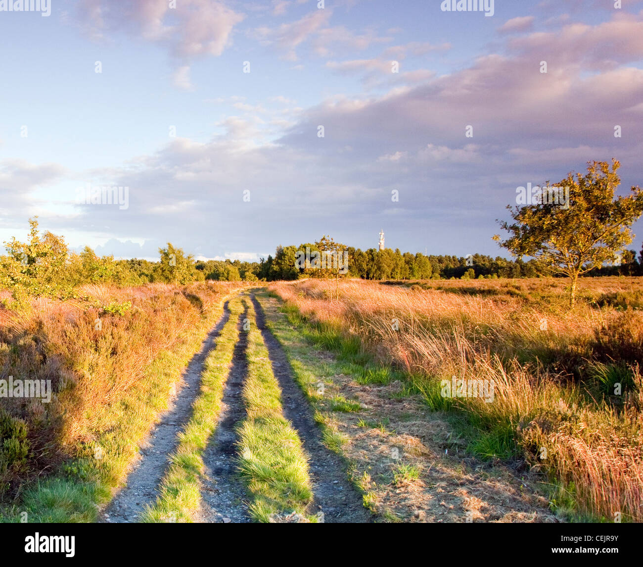 Country park hi-res stock photography and images - Alamy