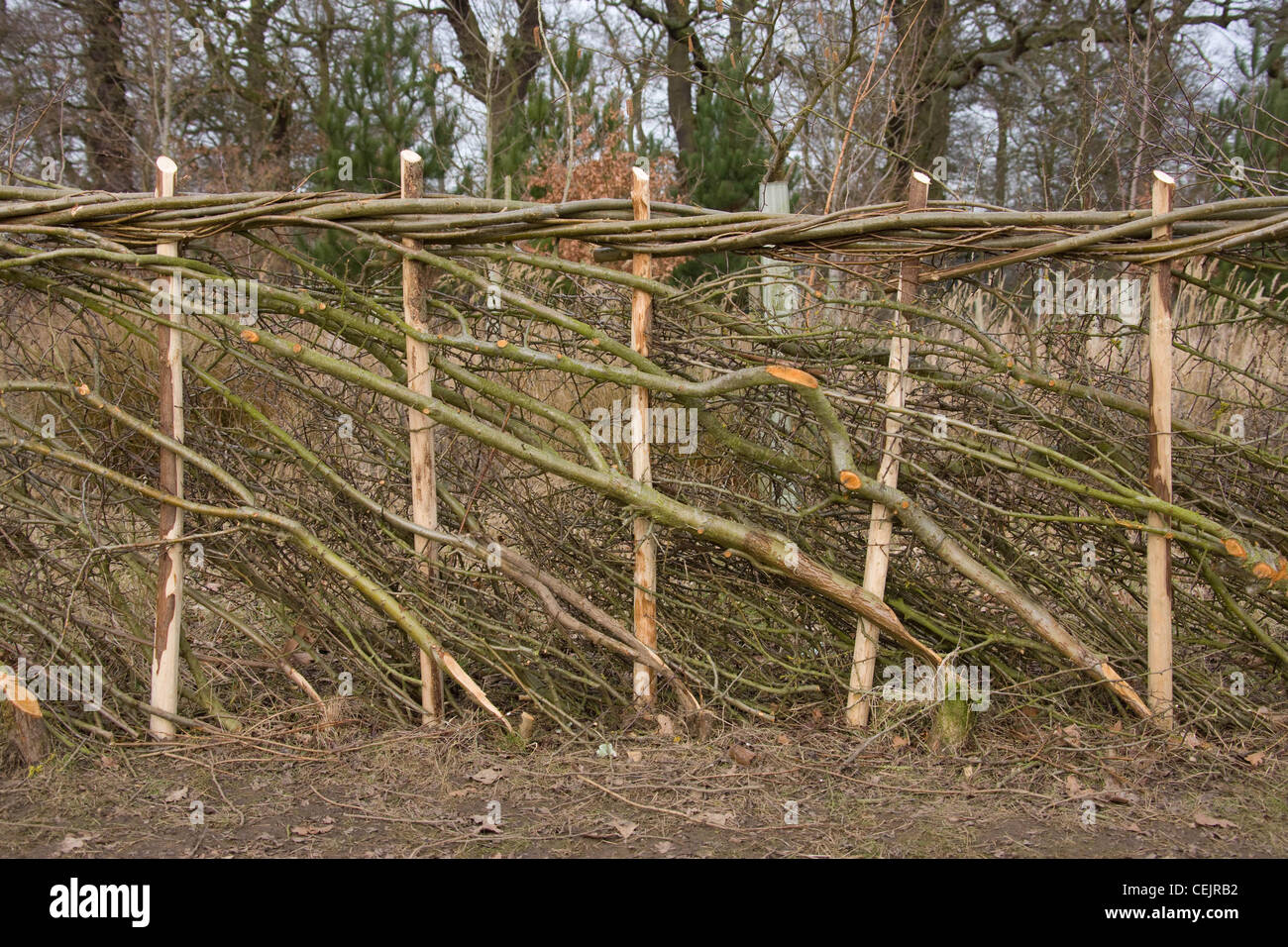 Hedge laying hi-res stock photography and images - Alamy