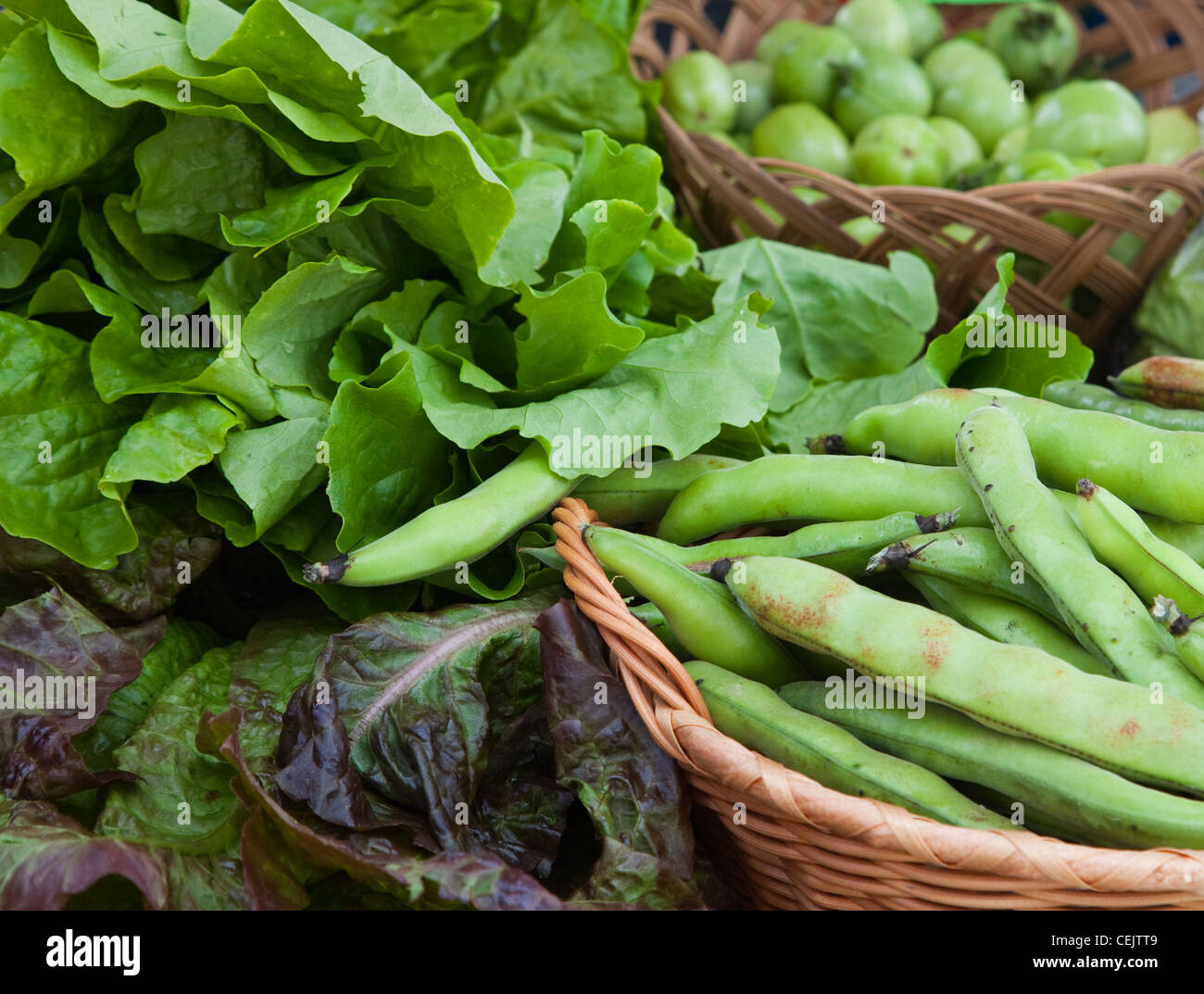 Usa agriculture beans hi-res stock photography and images - Alamy
