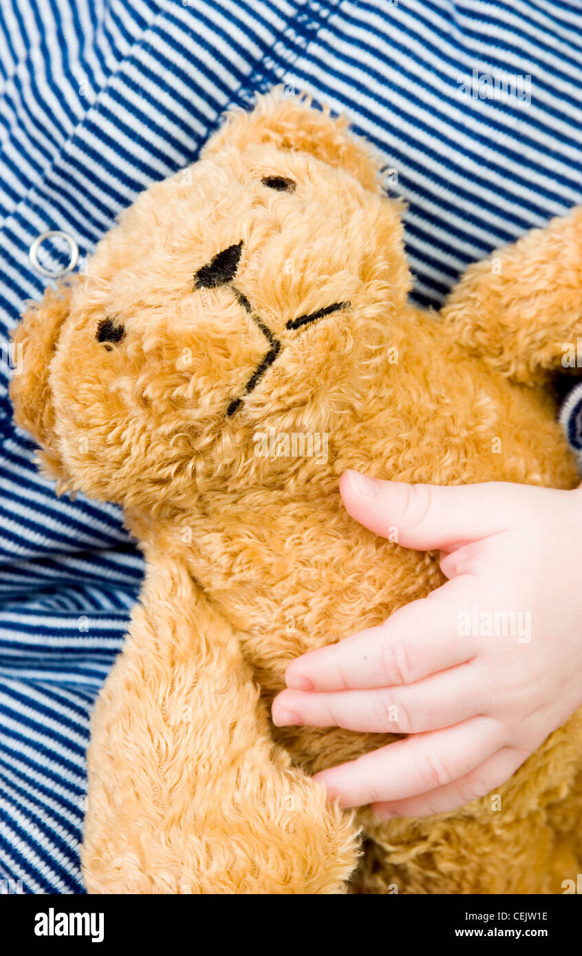 Male brown bear under hi-res stock photography and images - Alamy