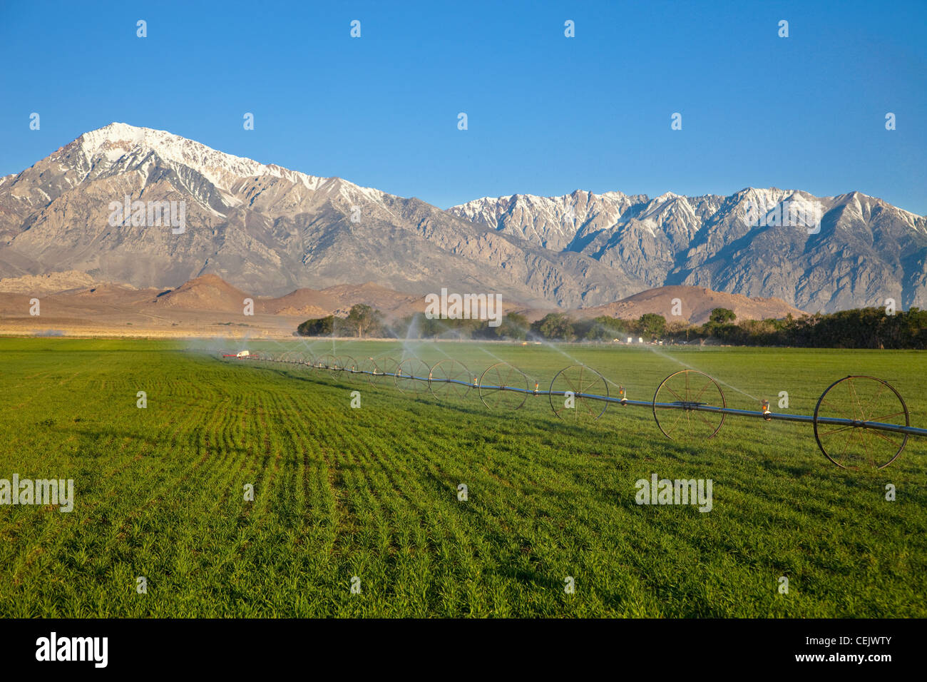 Wheelmove hi-res stock photography and images - Alamy