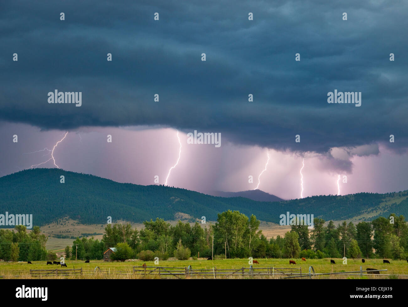 Multiple lightning strikes along a ridgetop produced by a strong ...