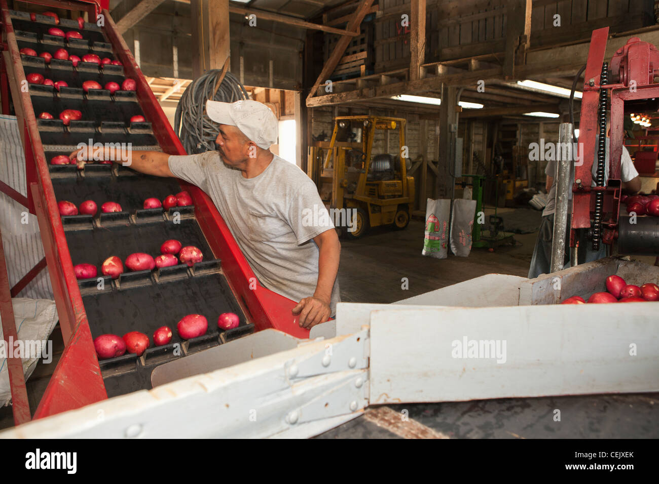 Working farm farms farming worker workers hi-res stock photography and ...