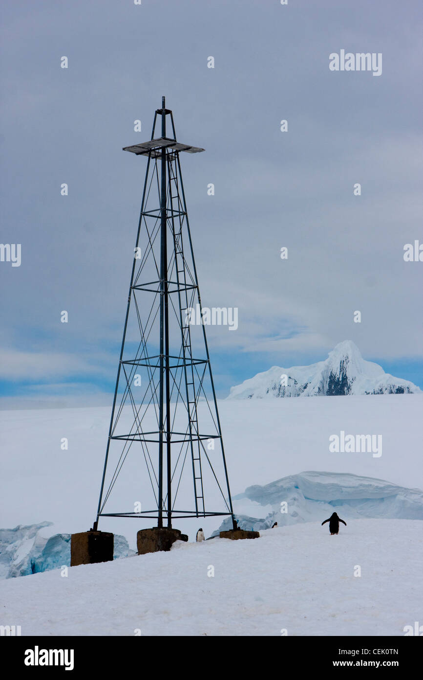 Penguin standing next to tower in Antarctica Stock Photo - Alamy