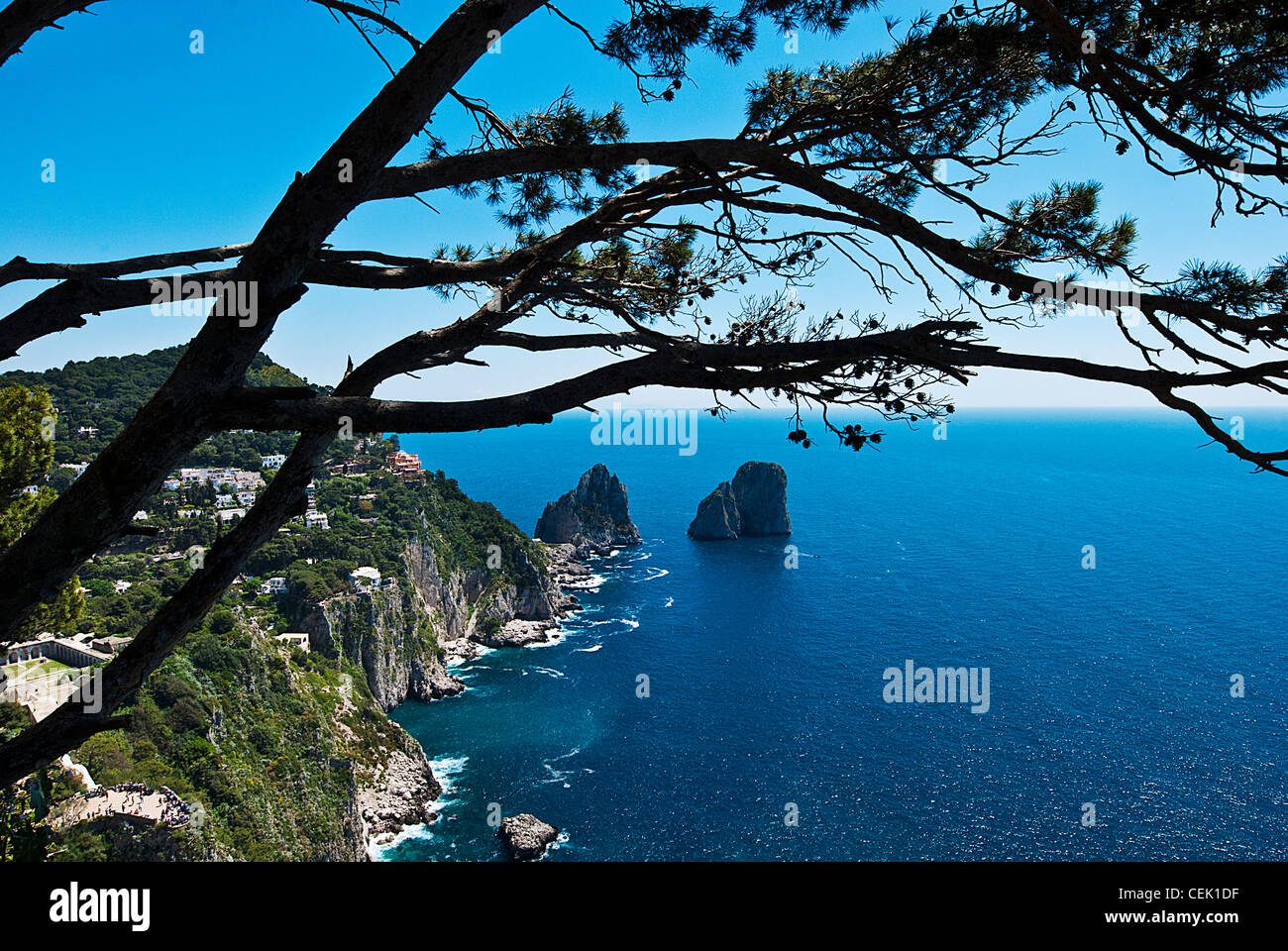 looking down to mediteranean sea through trees capri italy Stock Photo ...