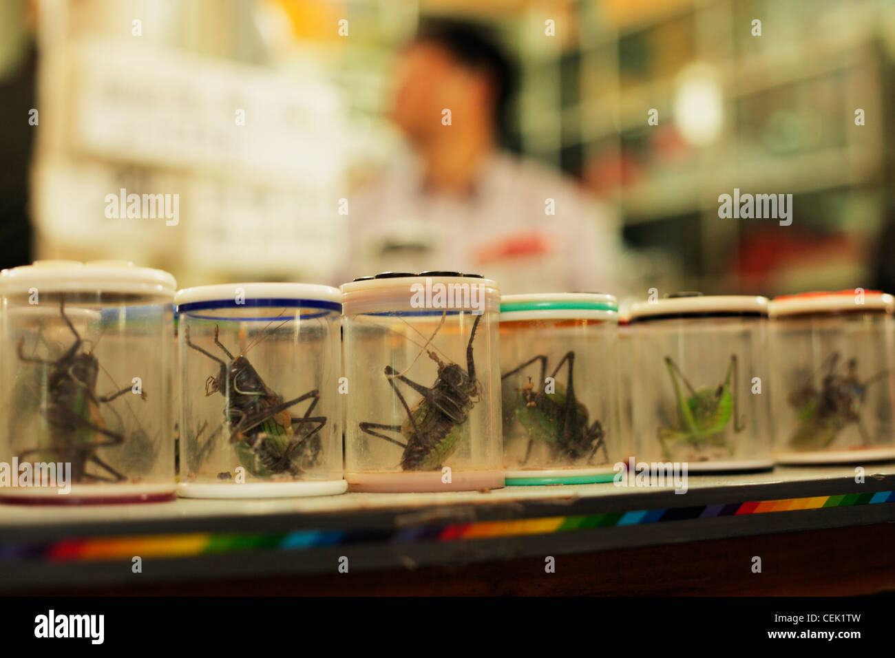 Large crickets in jars for sale, Shanghai, China Stock Photo - Alamy
