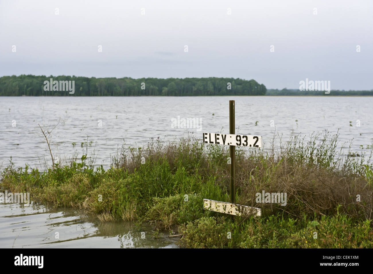 A soybean field completely inundated by flood waters during the ...