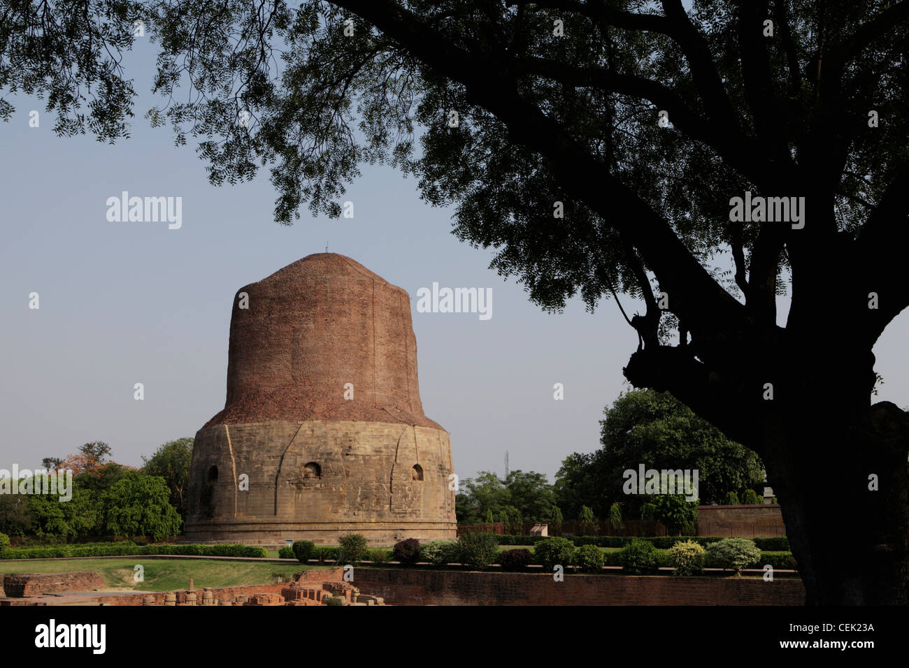 Dhamekh Stupa, site of Buddha's first sermon, Sarnath, India Stock ...