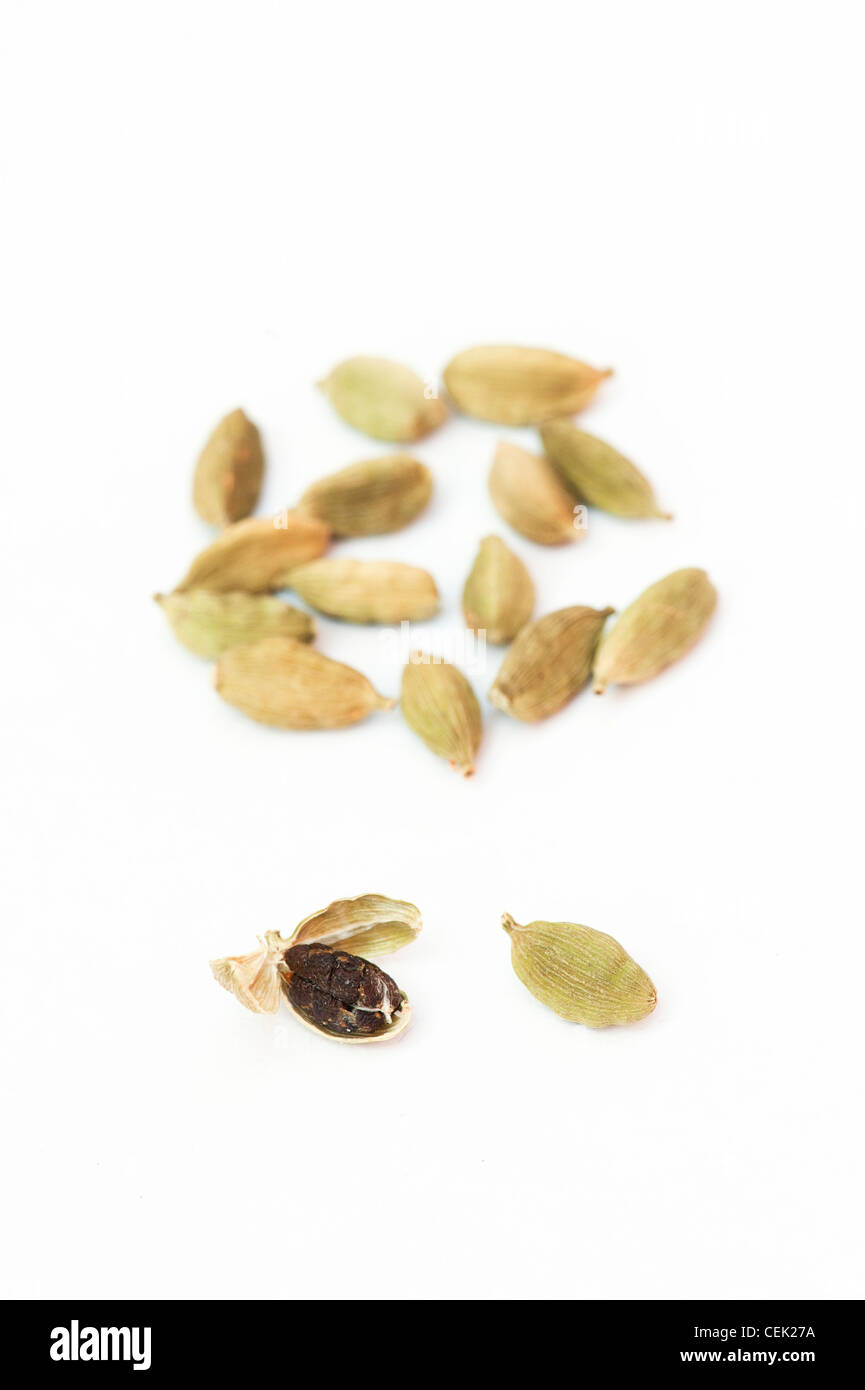 Cardamon seed pods on white background Stock Photo - Alamy