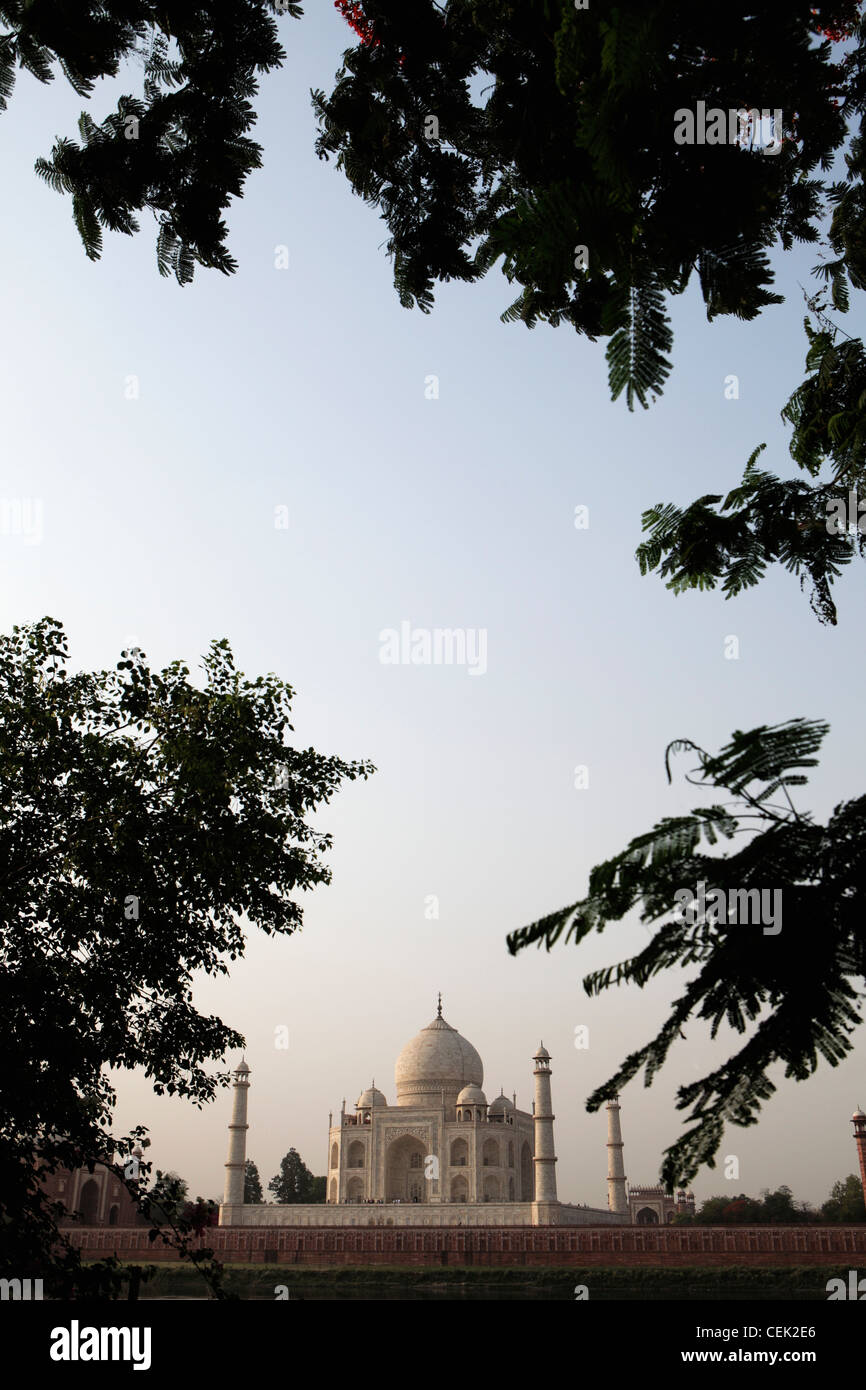 Taj mahal trees in foreground hi-res stock photography and images - Alamy