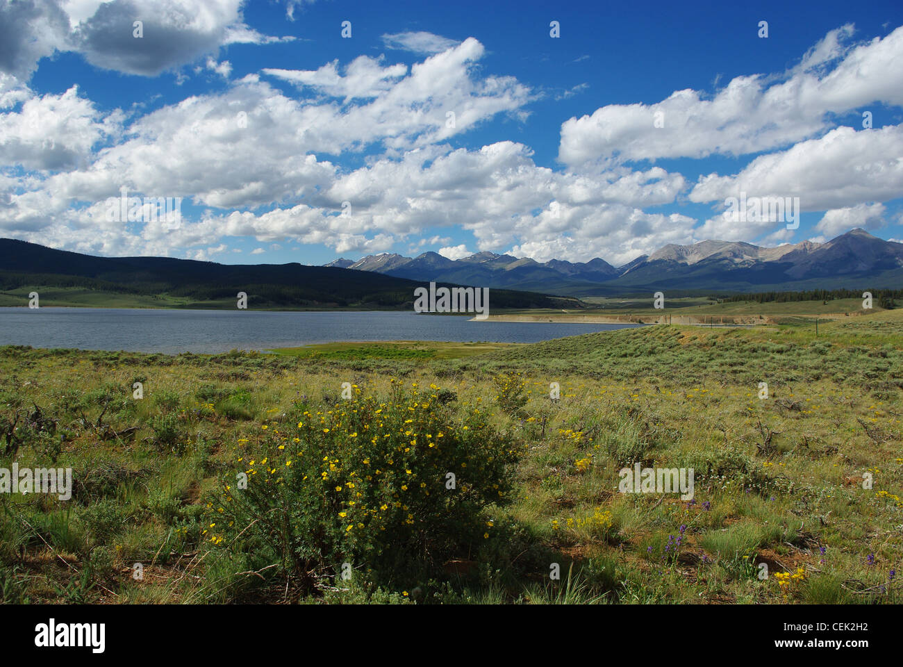Yellow flowers and Taylor Park Reservoir with Rocky Mountains, Colorado ...