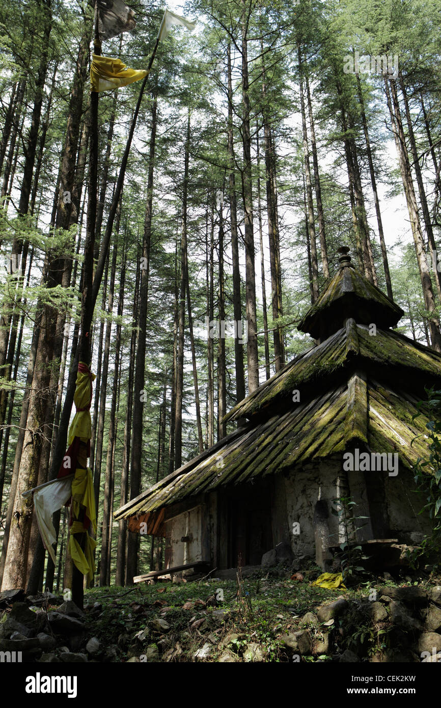 Hindu temple in forest himalayan hi-res stock photography and images ...