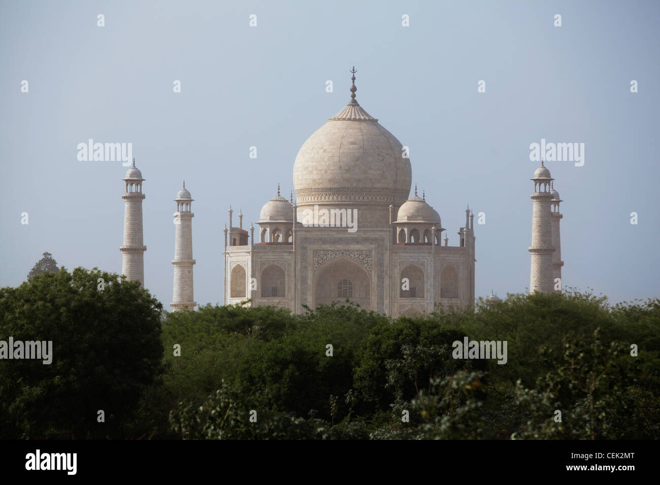The Taj Mahal with trees in the foreground, Agra, India Stock Photo - Alamy
