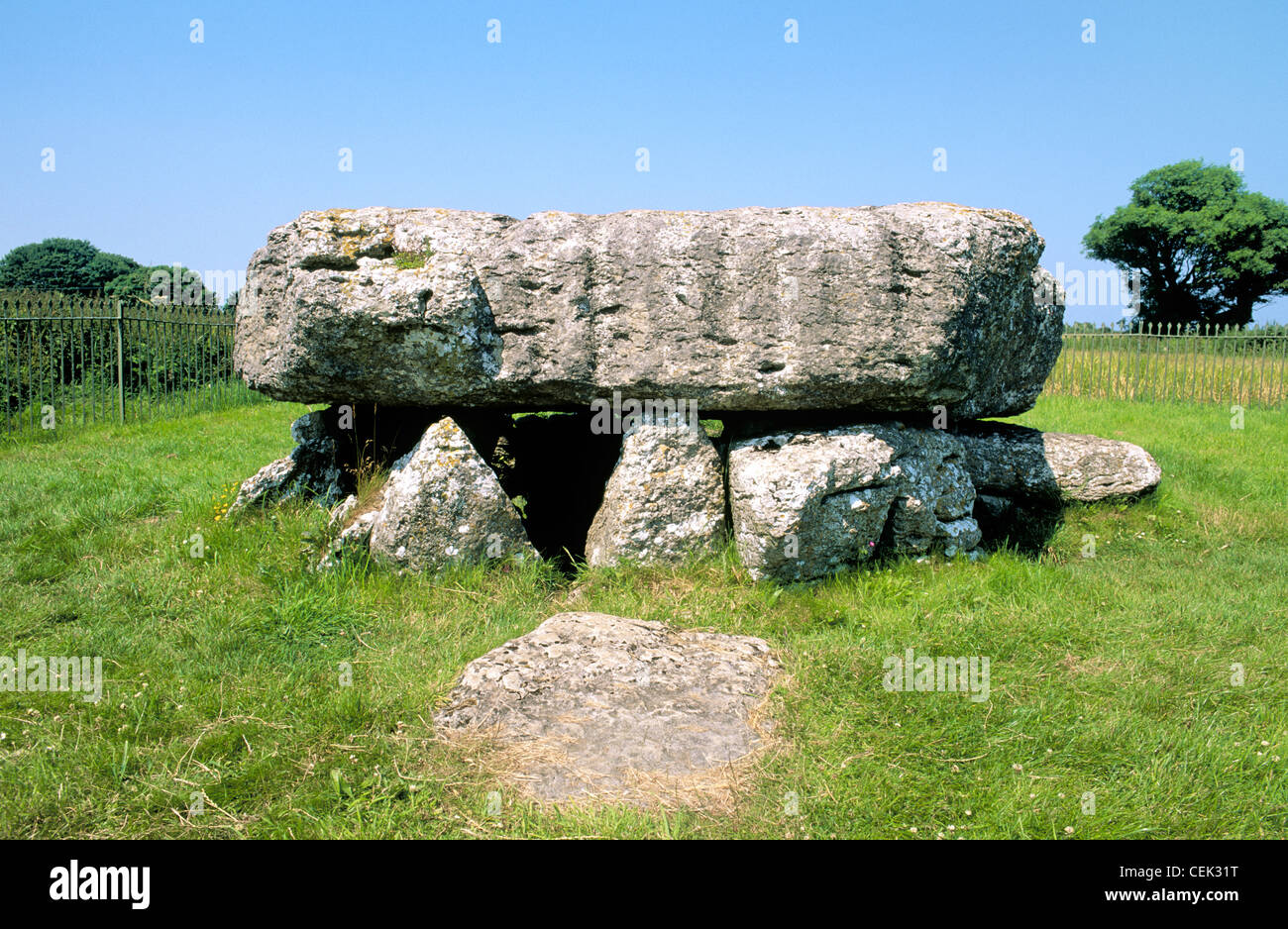 Lligwy prehistoric megalithic Neolithic burial chamber. Anglesey, Wales ...