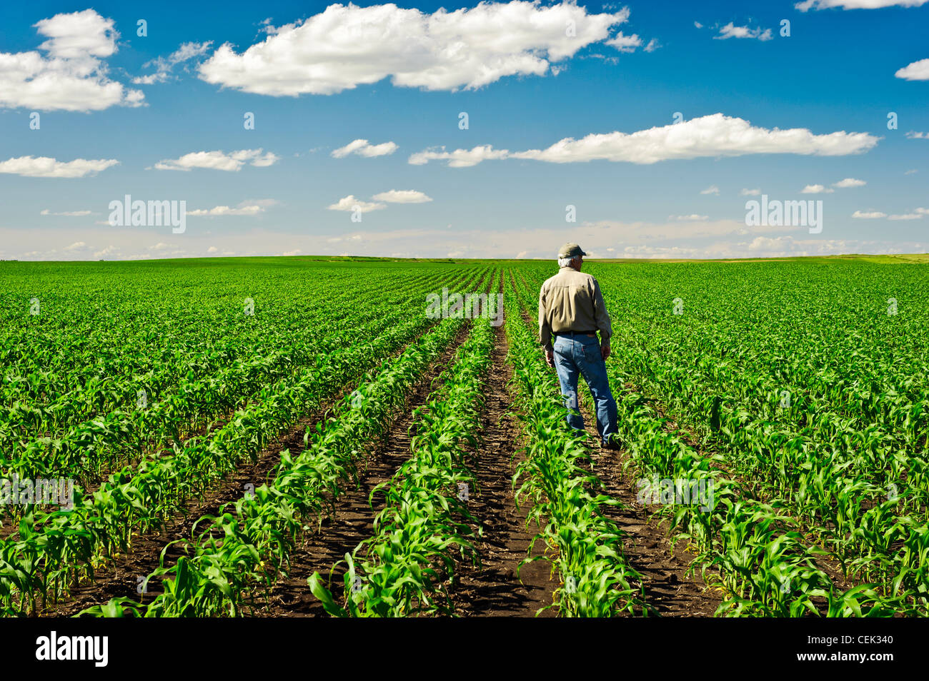 Grain planting landscapes hi-res stock photography and images - Alamy