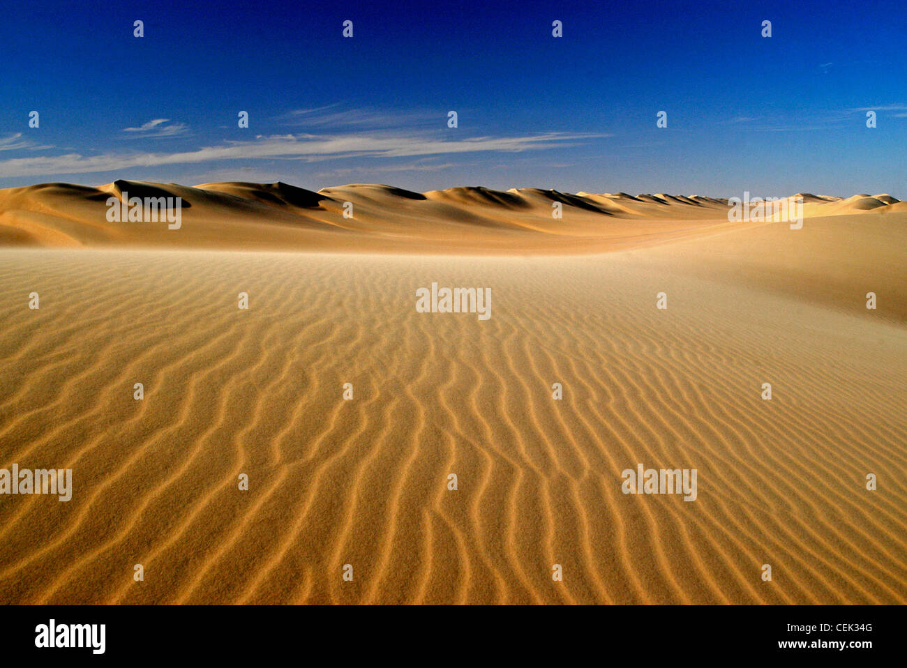 Sandscape in the Sahara's 'Great Sand Sea'. Rippling sand dunes form ...