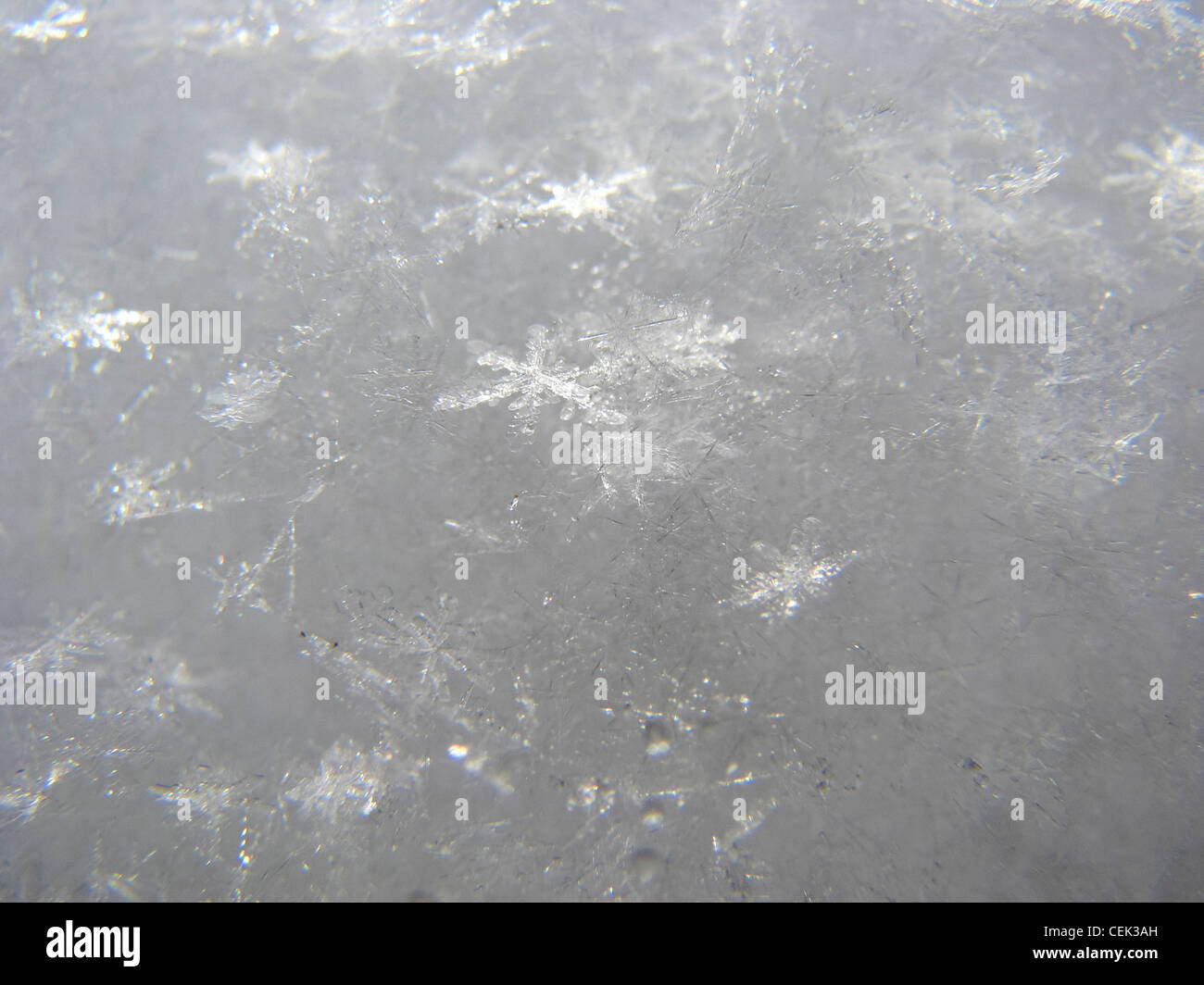 Snowflakes sparkle in the sun hi-res stock photography and images - Alamy