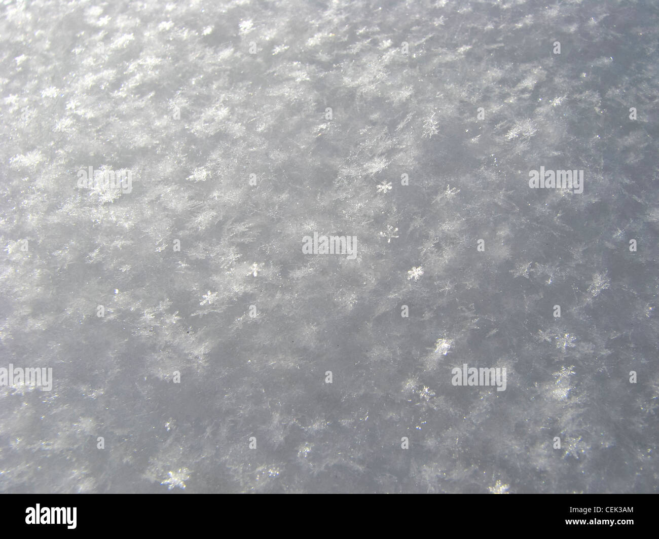 A closeup of snowflakes shinning in the sun Stock Photo - Alamy