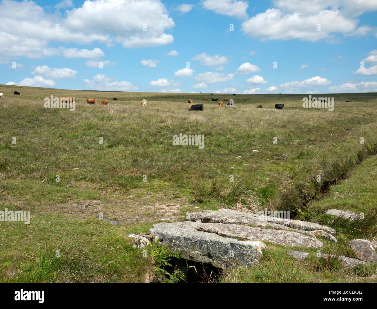 Small granite bridge on Dartmoor Stock Photo - Alamy