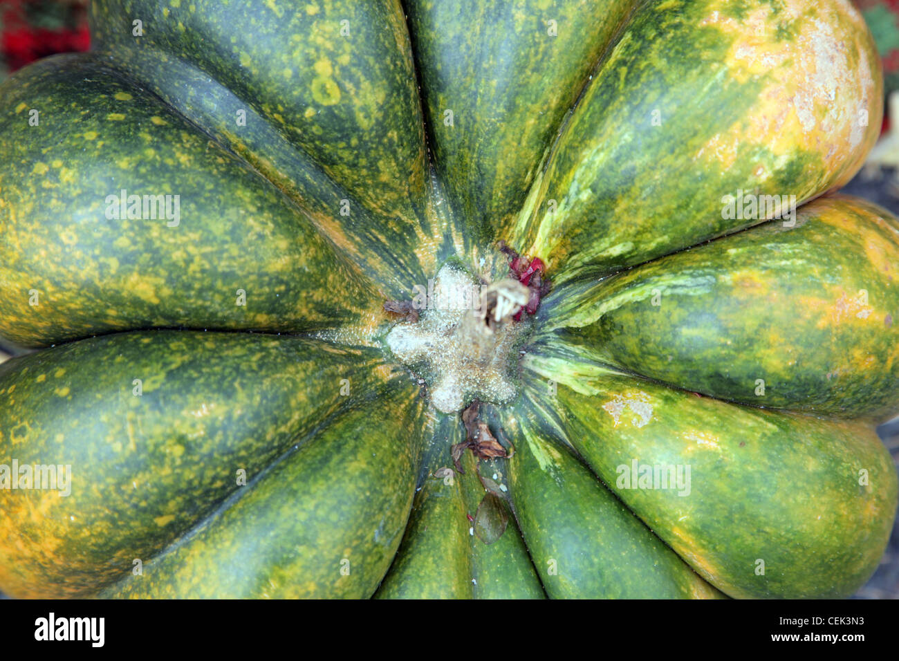 Pumpkin calendar hi-res stock photography and images - Alamy