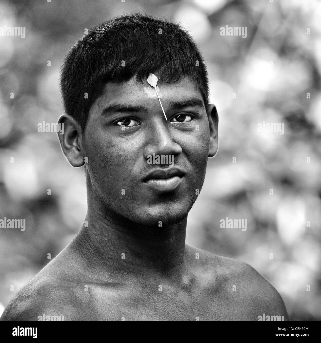 Portrait - hindu festival of thaipusam cavadee Stock Photo - Alamy