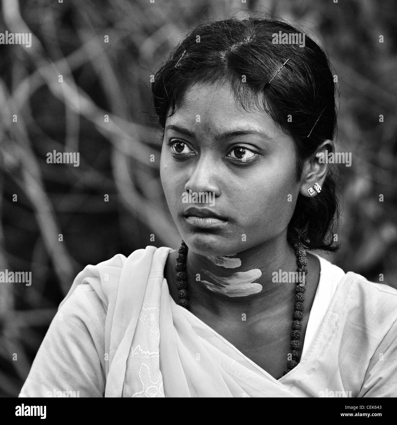 Thaipusam cavadee mauritius hi-res stock photography and images - Alamy